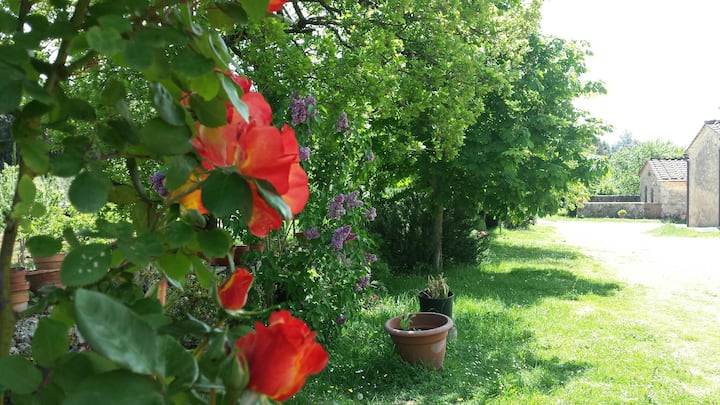 Last Minute! Appartamento Salvia Podere Sortoiano - Monteriggioni