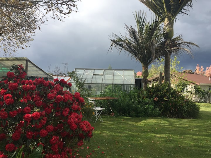 Try Our Tiny Space! - Te Puke