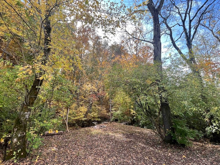Dude Ranch Near G.s. Mtns Primitive Campsite - Knoxville, TN