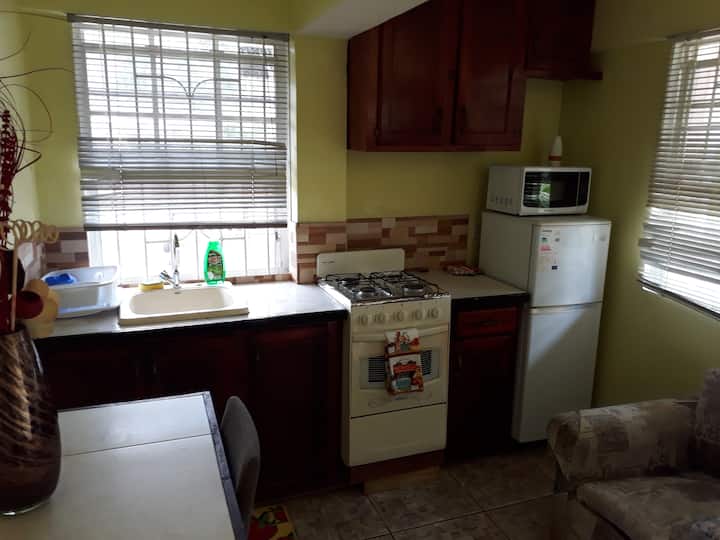 Homestyle Apartment D - Dominica