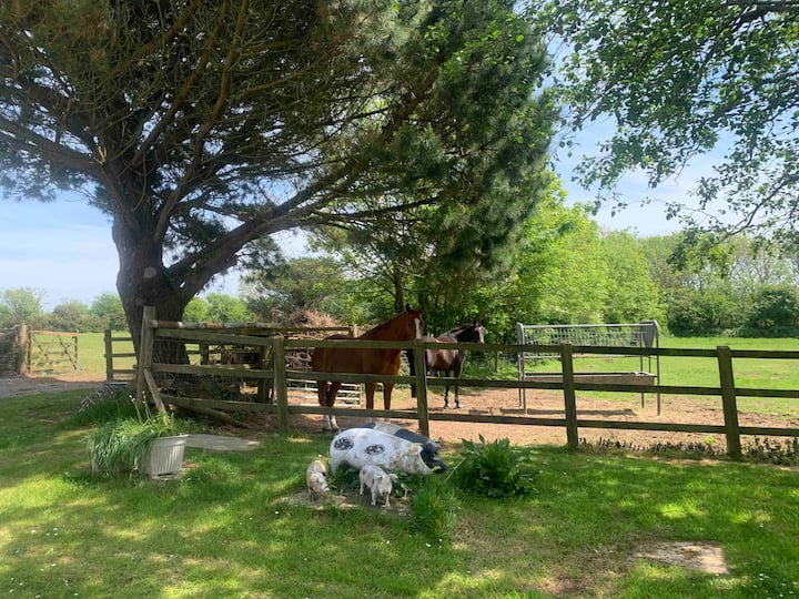 A Unique & Tranquil Smallholding Retreat - St Agnes