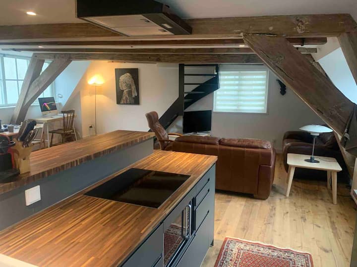 Cosy Apartment In The Heart Of Historic Leiden - Leiden