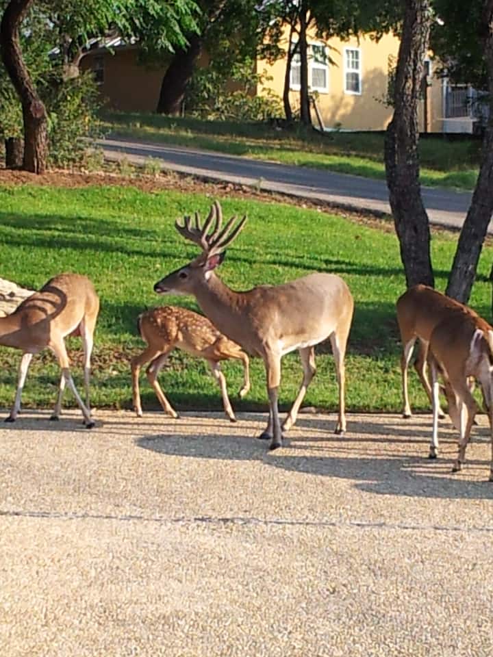 Medical Center In A Country Setting, 1000sq. Ft - San Antonio