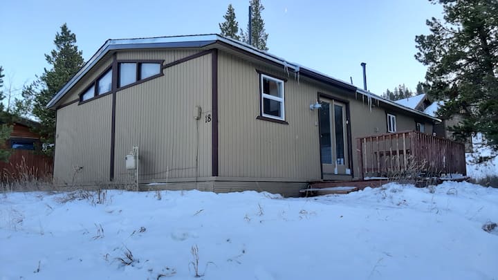 Renovated Family "Cabin" Close To Town! - Breckenridge, CO