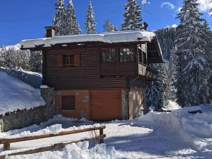 Splendida Villa Con Caminetto - Madonna di Campiglio
