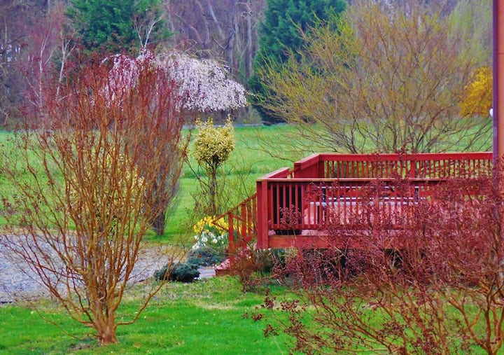 Artistic Environment Inspiring Home - Kilmarnock, VA