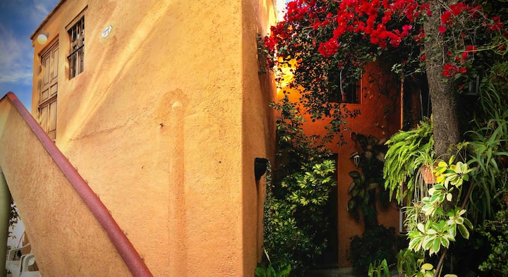 Mexican Department (Great View, Garden) - Guanajuato