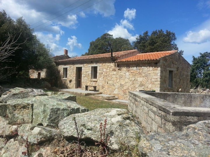 La Balestra, Stazzo In Campagna Immerso Nel Verde - Olbia-Tempio