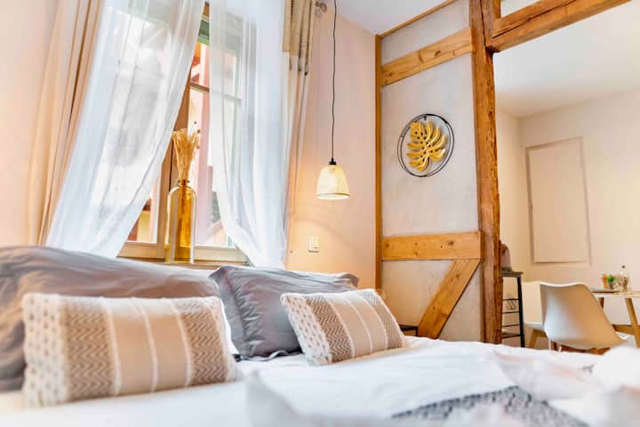 Au Petit Lion, Colmar Centre Garage Gratuit - Colmar