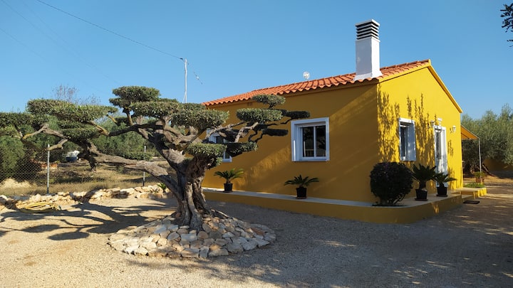 Casa Eli - L'Ampolla