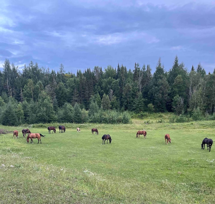 Chalet En Pleine Nature & Spa Privé - Sainte-Agathe-des-Monts
