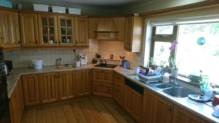 Labradorable Vegan Experience - Blessington