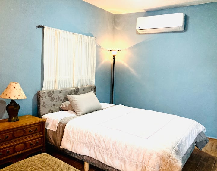 Coral Estudio 35% Descuento Lea Descripción. - Cabo San Lucas