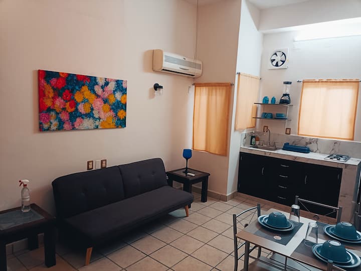 Departamento En El Centro De La Ciudad 7 - Tampico