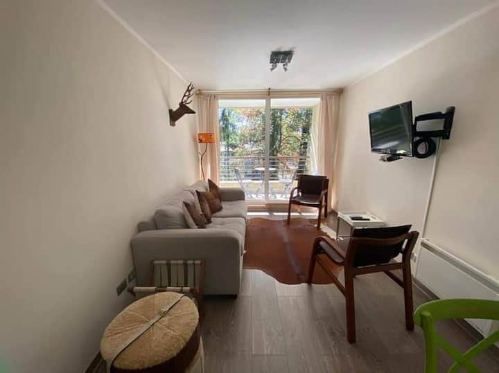 Pucon Refugio Bandurrias 2 Dormitorios - Pucon