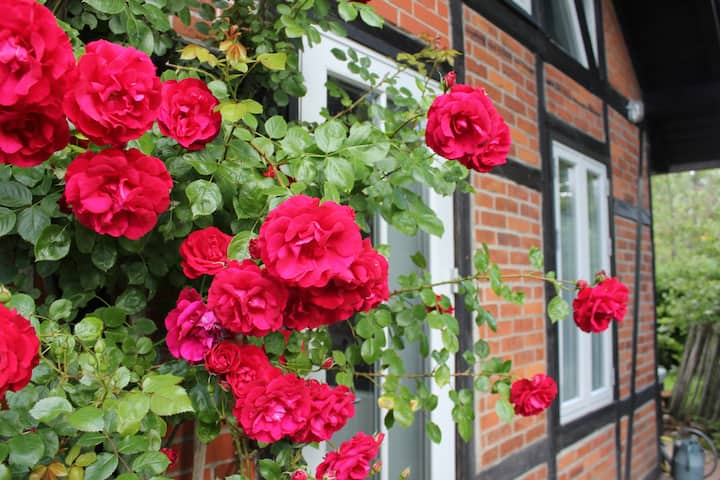 Gemütliches Gartenhaus Mit Nähe Zum Wasser - Kiel