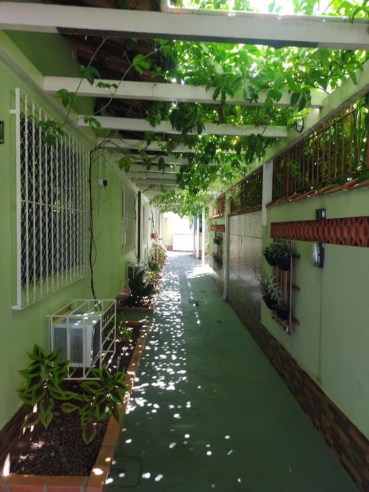 Flor De Maracujá - Rio das Ostras