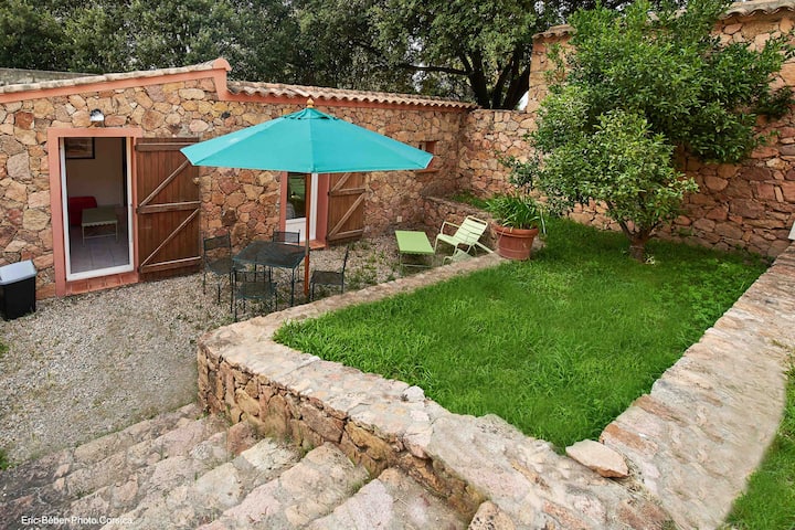 Domaine E Case Di Cuttoli : Le Citronnier Piscine - Bastelicaccia