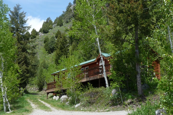 Mountain and Lake View Cabin - Cabins for Rent in Irwin, Idaho, United ...