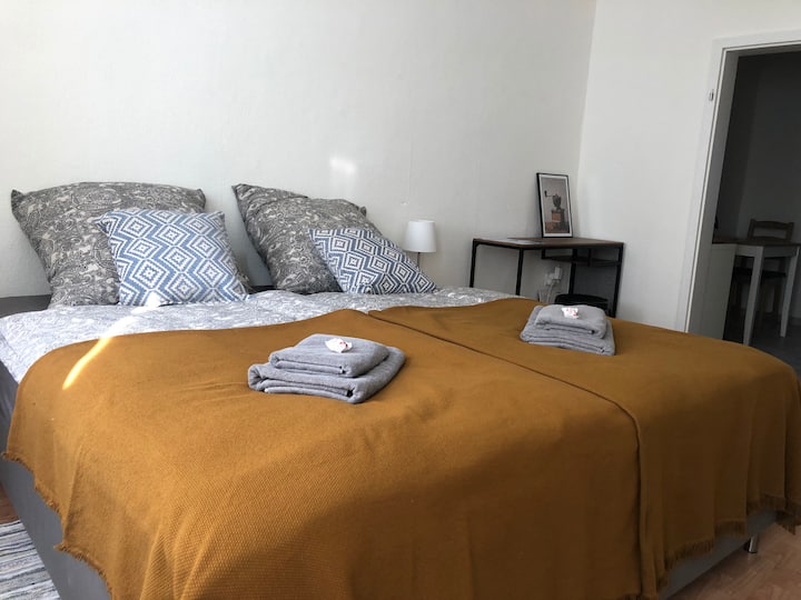 Gottwaldhaus- Freiberg-ferienwohnung - Freiberg