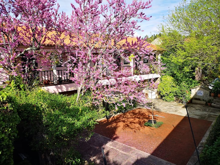 Casa Da Varanda  | Charme Na Beira Alta - Penalva do Castelo