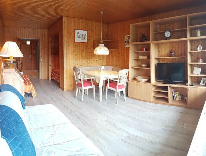 Appartement Spacieux Proche Lac Et Centre Ville - Allensbach