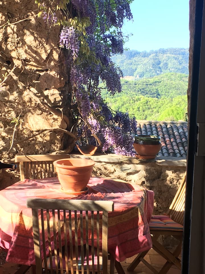 Quaint 500 Yr Old Stone House W/ Fabulous Views - Le Vigan