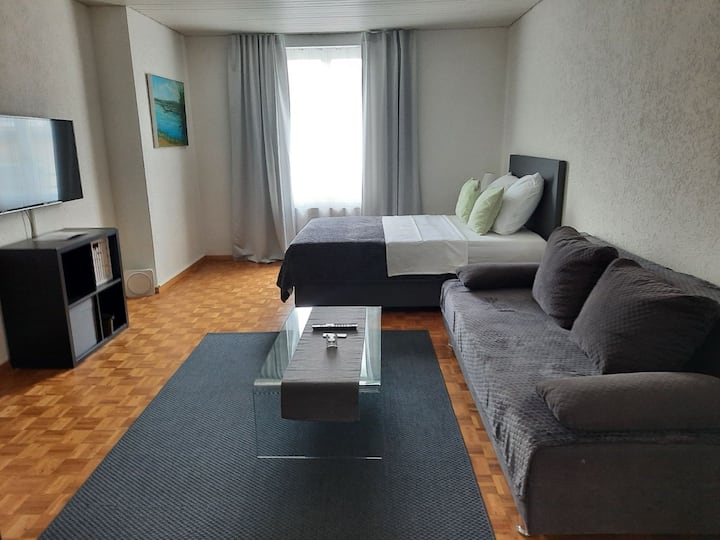 Zurich Dt (1+1 Room, 55 Sqm) - 취리히