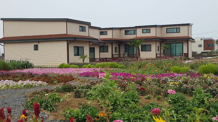 코아흐 제주 한달살기 하우스 (20평형) - 구좌읍
