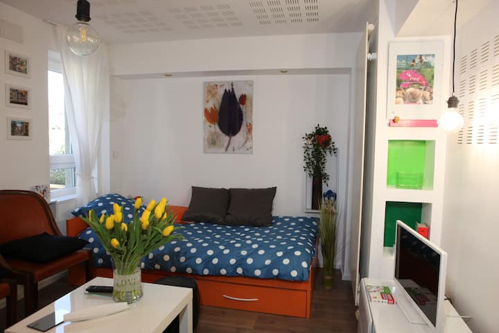 Logement Cosy Et Design Au Coeur Du Centre Alsace. - Alsace
