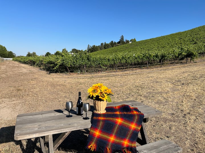 Rustic Vineyard Campsite In Historic Paso Robles - Lake Nacimiento, CA