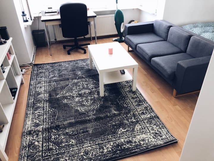 Clean Cute Flat - Düsseldorf