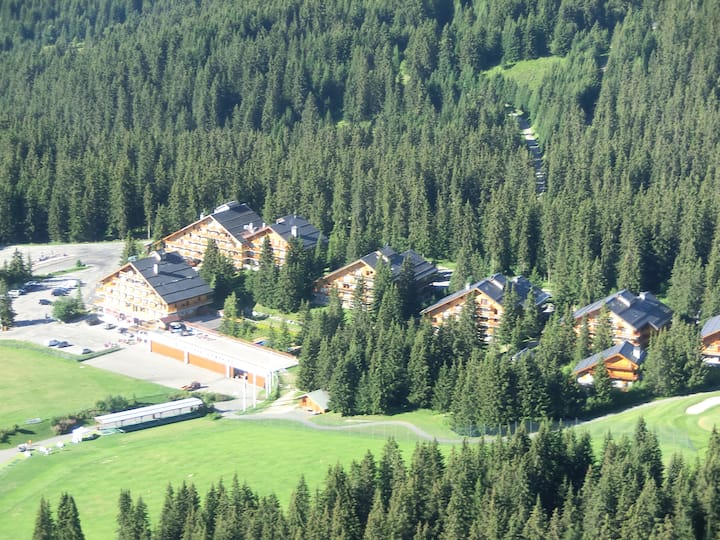 Appart Terrasse Sud Au Pied Golf Et Altiport - Méribel