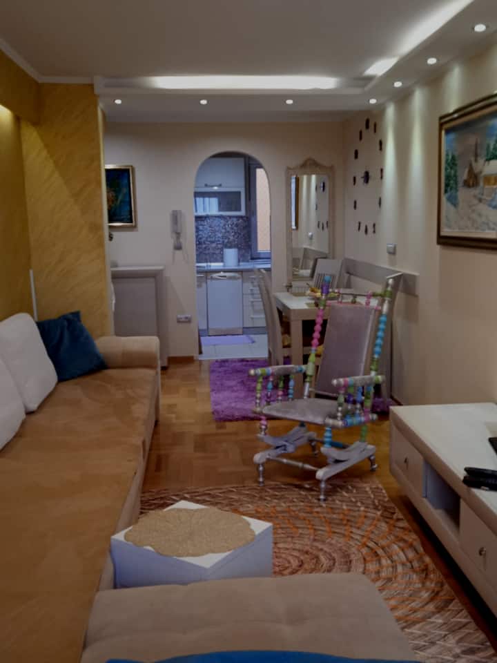 Apartman Pogodan Za Porodice - Novi Sad