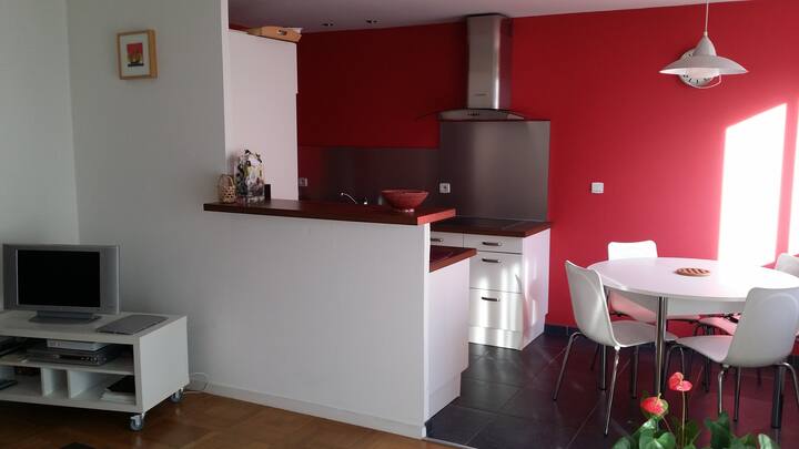 Appartement 70 M² Avec Garage  Quartier Tréfilerie - Saint-Étienne