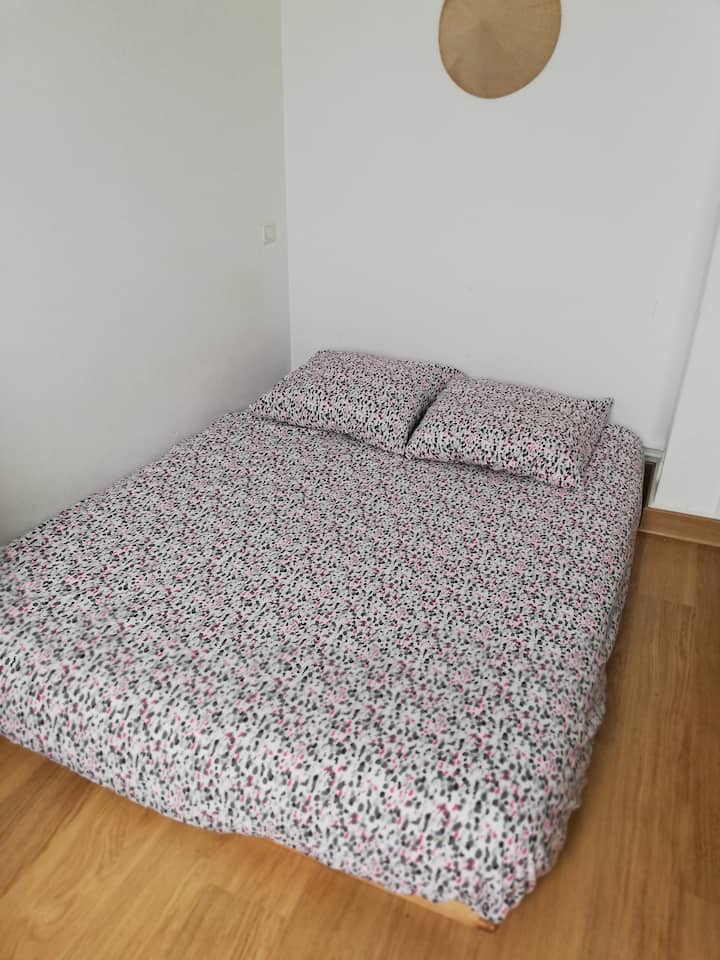 Chambre Dans Un Appart Duplex, - Grenoble