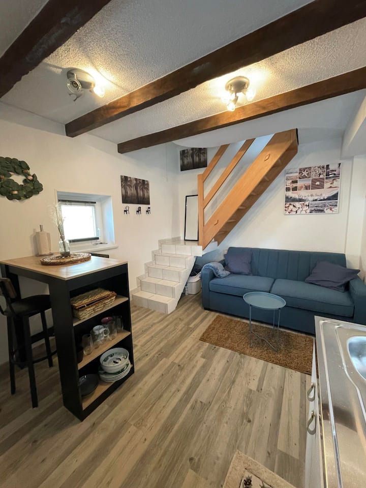 Charmant Studio Rénové Et éQuipé - Thionville