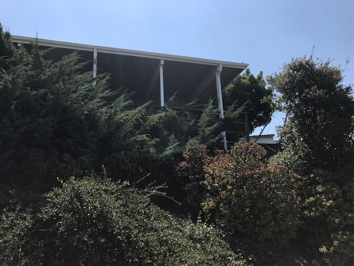 California Mid-century With Ocean Views - 聖塔芭芭拉