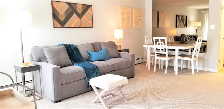 Dover - Modern & Stylish Furnished 1 Bed/1 Bath - Dover, NH