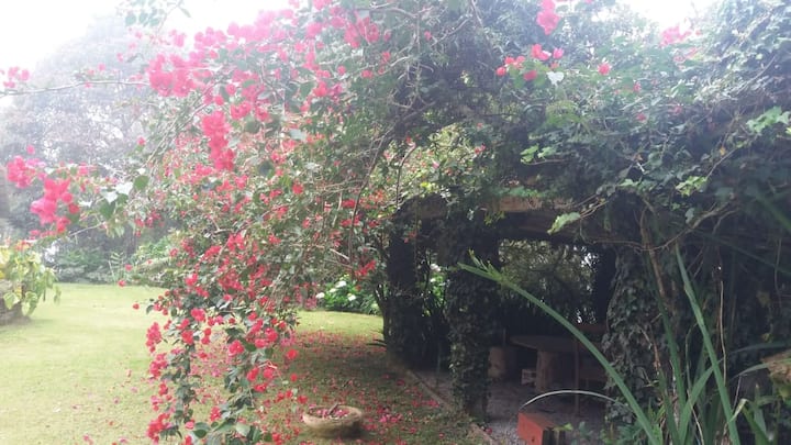Linda Casa De Campo Em ÁRea De Proteção Ambiental. - Nova Friburgo