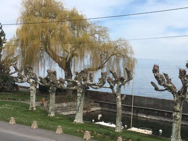 Amphion - Chambre Dans Maison En Bordure Lac Leman - Lac Léman