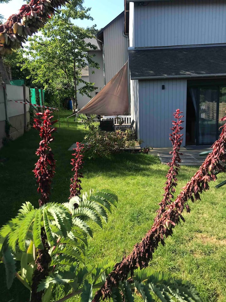 Cezembre
Appartement Calme Voix Verte  Mer Centre - Dinard