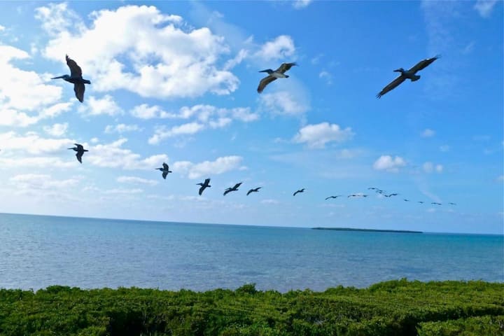 Ocean Front With Amazing View And Private Beach - Florida Keys