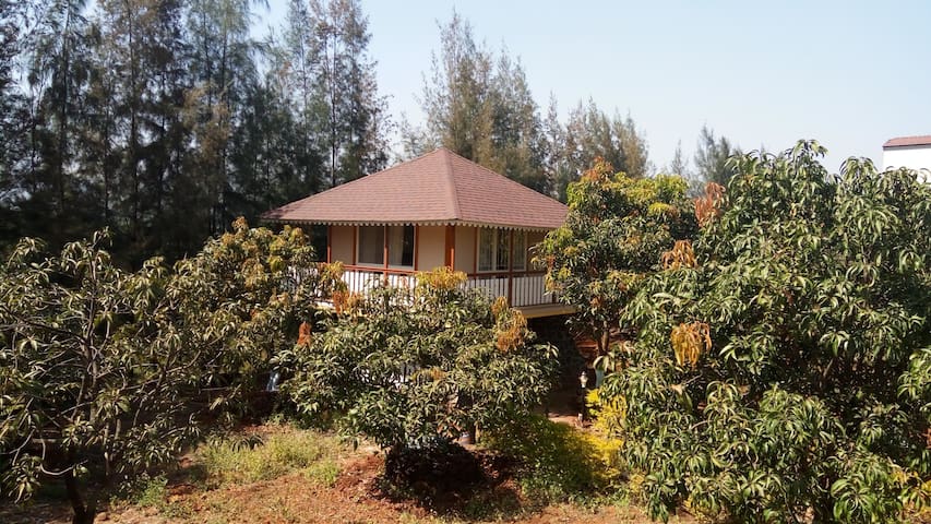 Mulshi Travel Guide 2022: Best of Mulshi Tourism | Tripoto