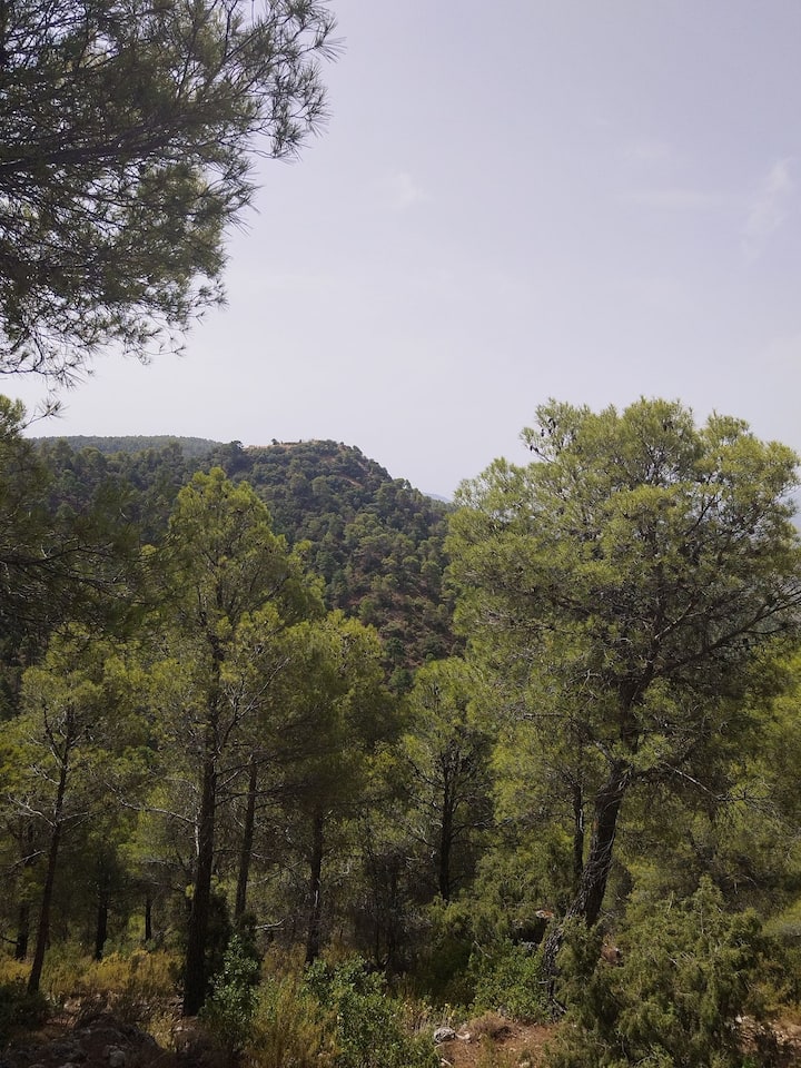 Casa Con Patio En La Sierra De Segura. - Siles