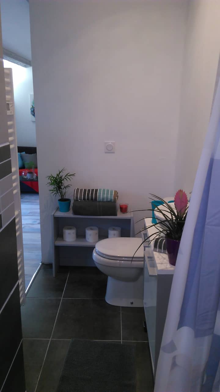 Studio Classé 2* La Maison Aux Mille Roses - La Rochelle