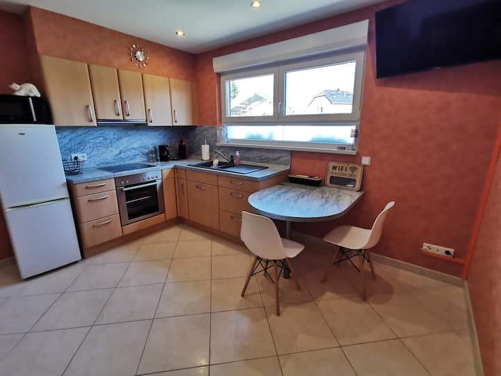 Bel Appartement De Ville - Haguenau
