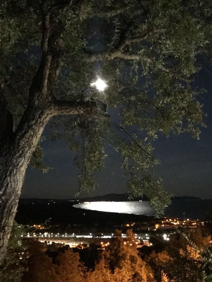The Tree House - Castiglione della Pescaia