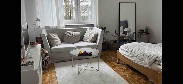 Cozy Flat In Central Muc Next To Octoberfest - Múnich
