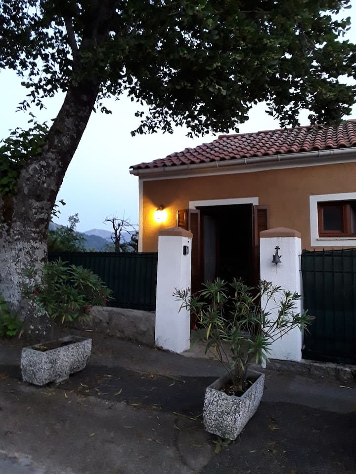 Studio Agréable Et Confortable - Évisa